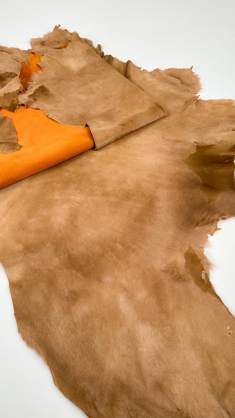 Genuine Calfskin Leather Hides – Light Brown & Tan Double-faced Tannery ...