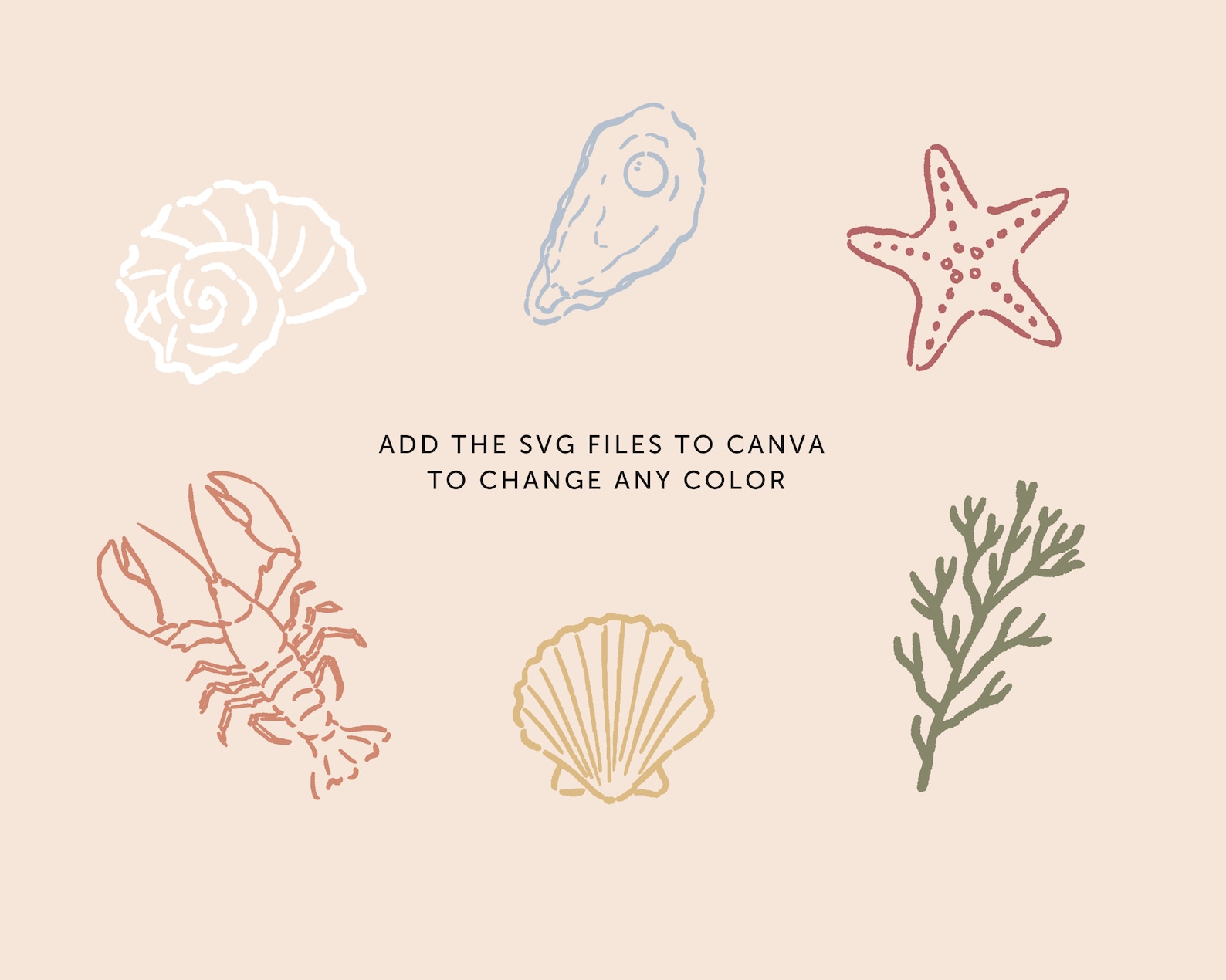 Sea Life Illustration Bundle, PNG SVG Pack - Hand Drawn Clipart for ...