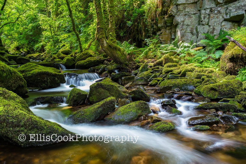 Lush Irish Stream - Killarney, Ireland | Fine Art Photography | Digital ...