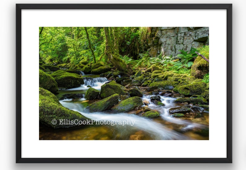 Lush Irish Stream - Killarney, Ireland | Fine Art Photography | Digital ...
