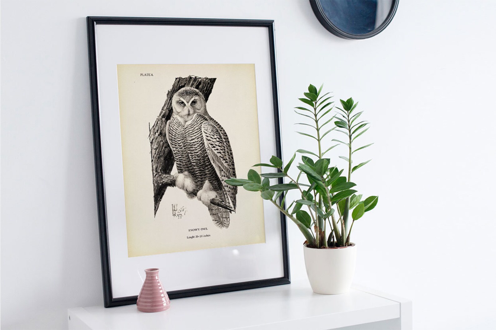 Vintage Snowy Owl Print INSTANT DOWNLOAD, Printable Wall Decor ...