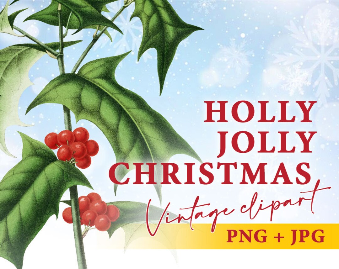 Vintage Christmas Holly Berries Clipart, Christmas Graphics, Printable ...
