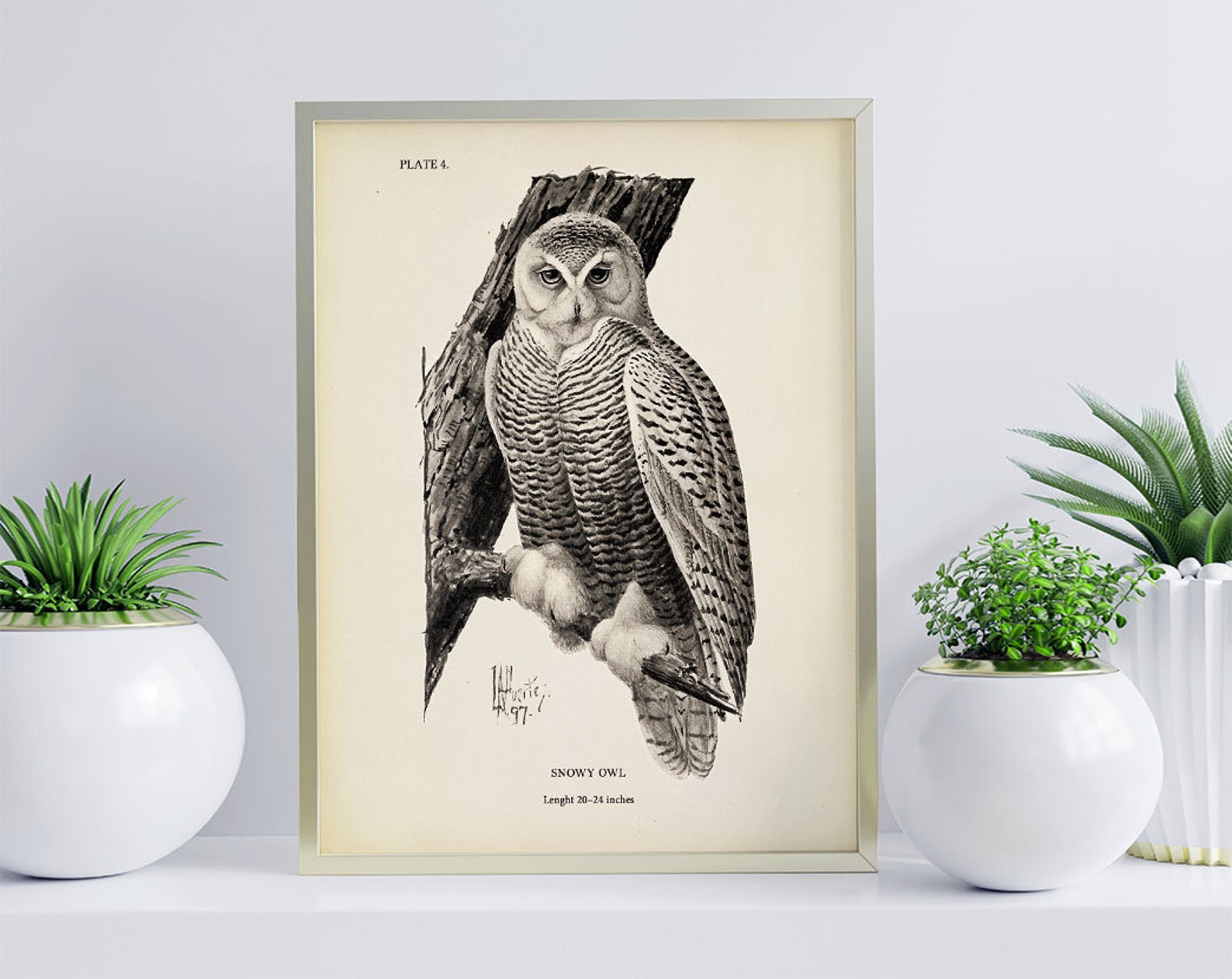Vintage Snowy Owl Print INSTANT DOWNLOAD Printable Wall - Etsy