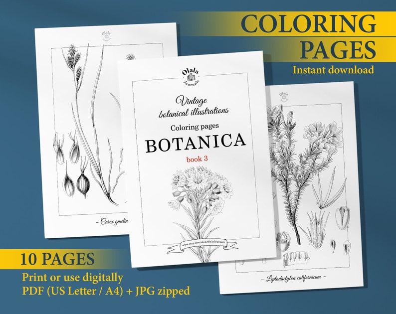 BOTANICA Vintage Coloring Pages Book 3 / Coloring Pages for | Etsy