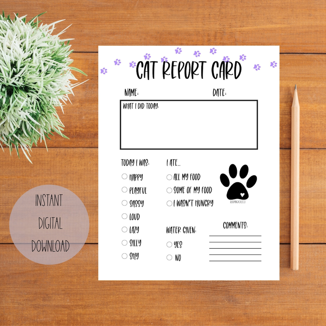 Printable Cat Report Card - Etsy