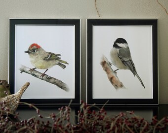 8x10 Bird Print - Etsy