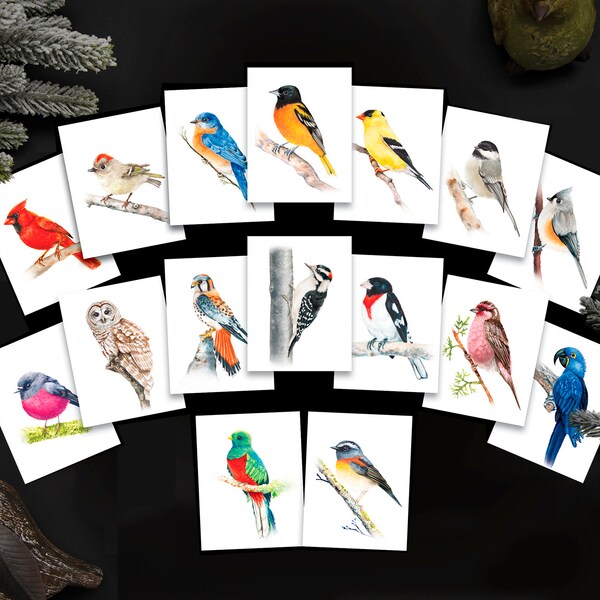 Bird Greeting Card - Etsy