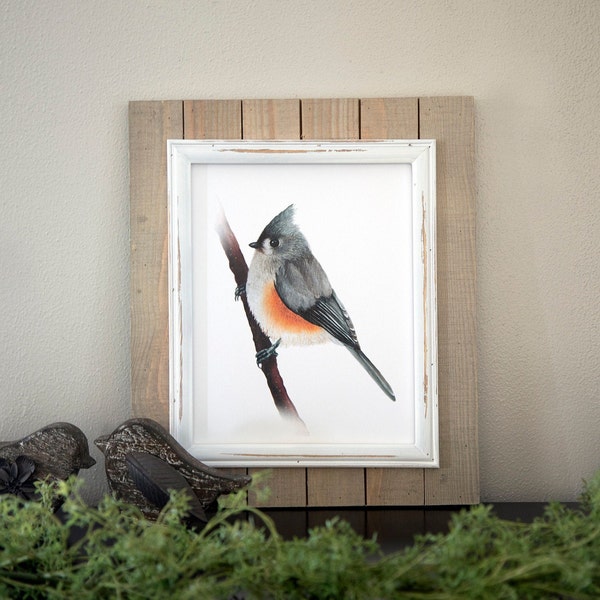 Tufted Titmouse - Etsy