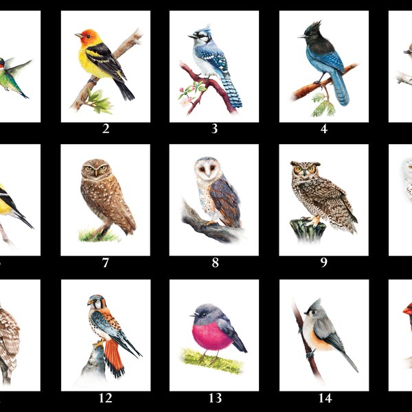 Watercolor Birds - Etsy