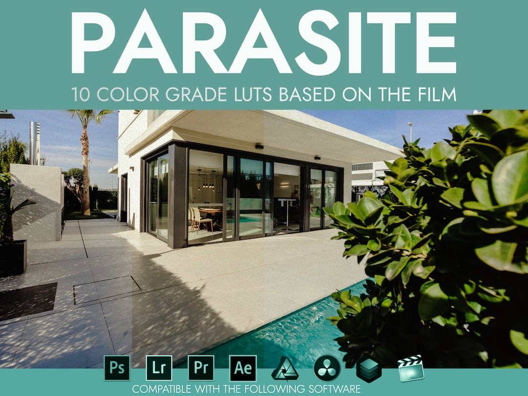 Parasite Color Grade LUTS for Photo or Video Editing - Etsy