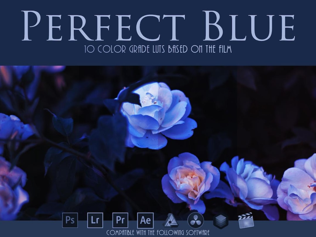 Perfect Blue Color Grade Luts for Photo & Video Editing - Etsy