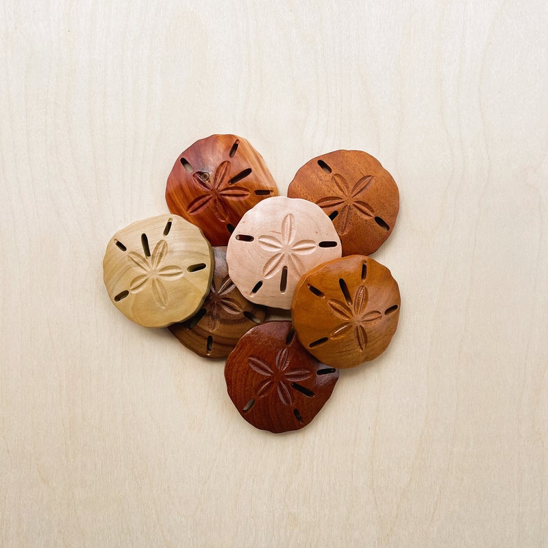 Painted Sand Dollars - Etsy