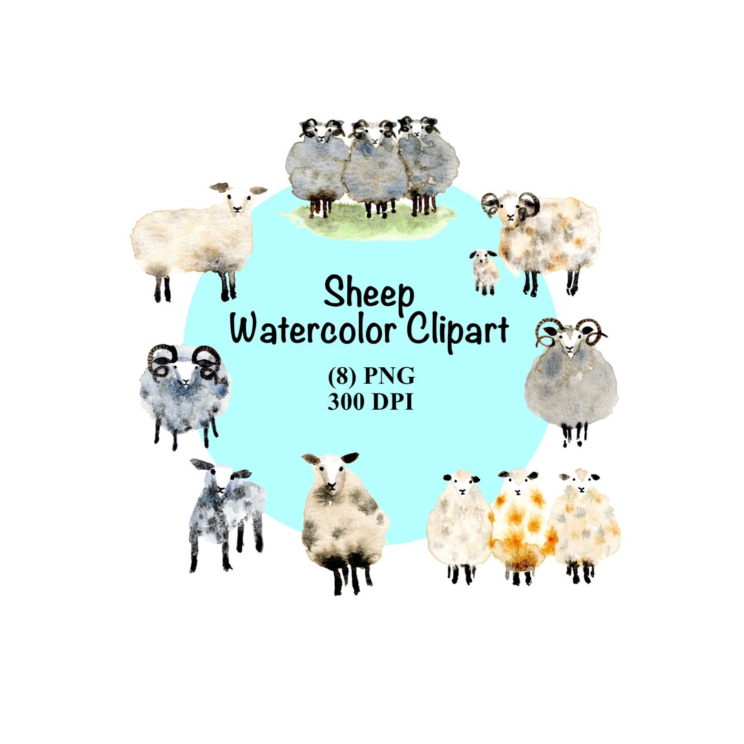 Sheep Watercolor Clipart, 8 Separate Elements, Animal Watercolor ...