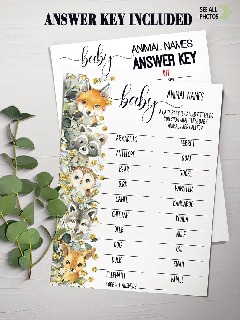 Forest Animals Baby Animals Name Game, Guess Baby Animal Names Wild One ...