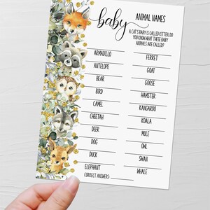 Forest Animals Baby Animals Name Game, Guess Baby Animal Names Wild One ...