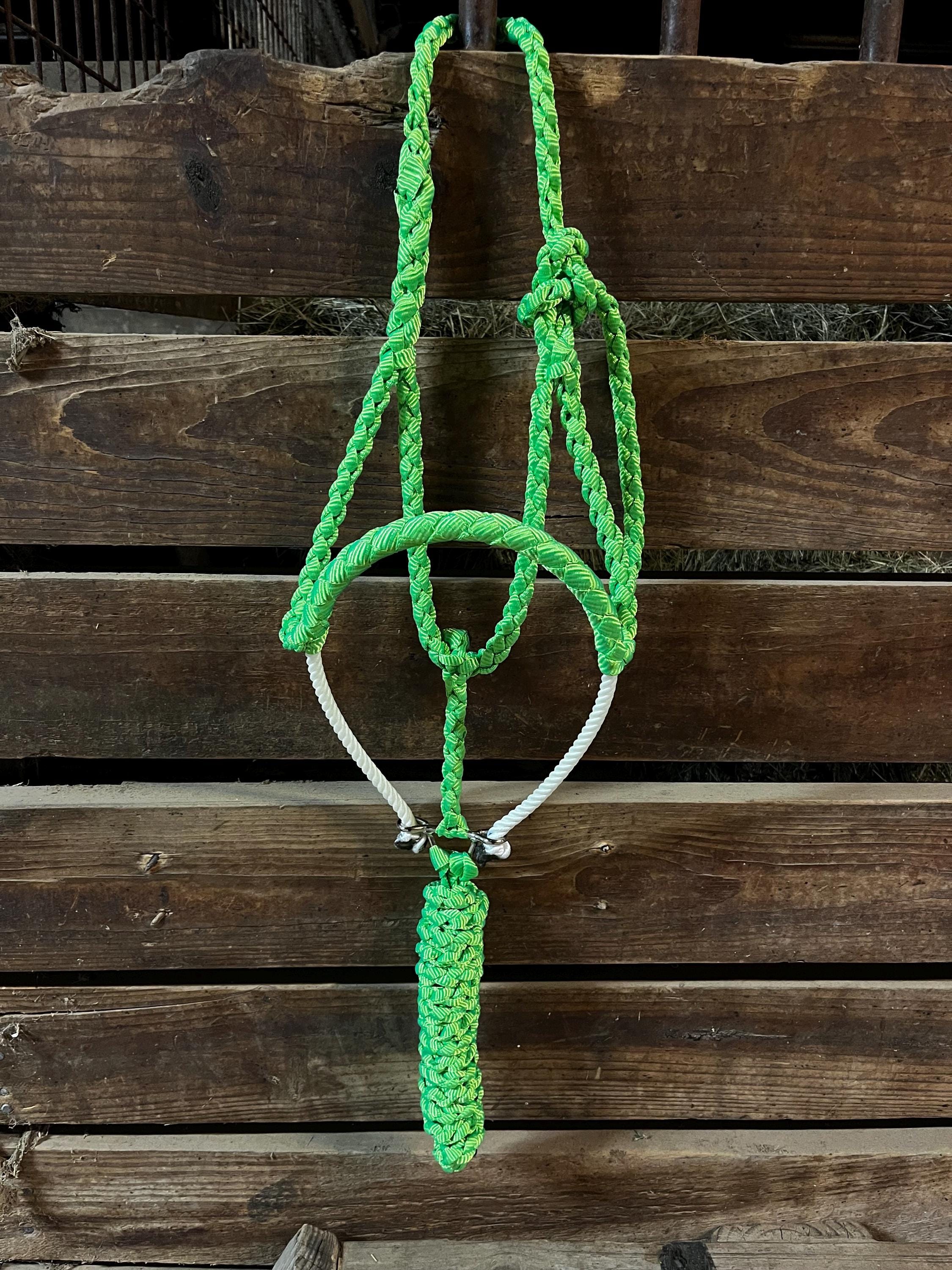 Custom Mule Tape Rope Noseband Halter - Etsy