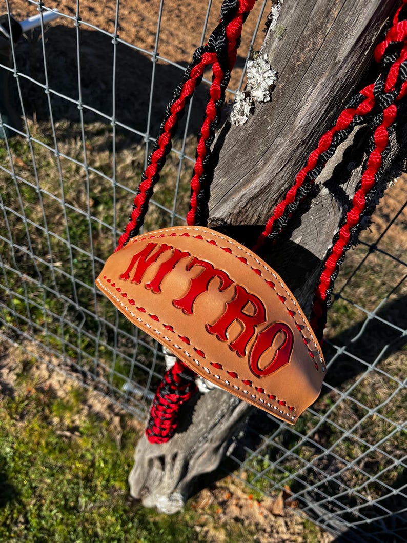 Tooled Wide Noseband Halter - Etsy