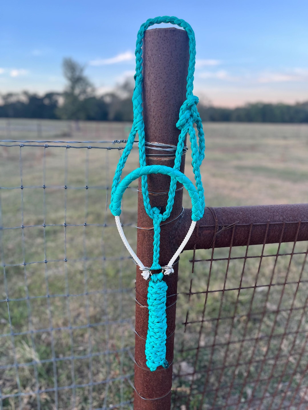 Custom Mule Tape Rope Noseband Halter - Etsy