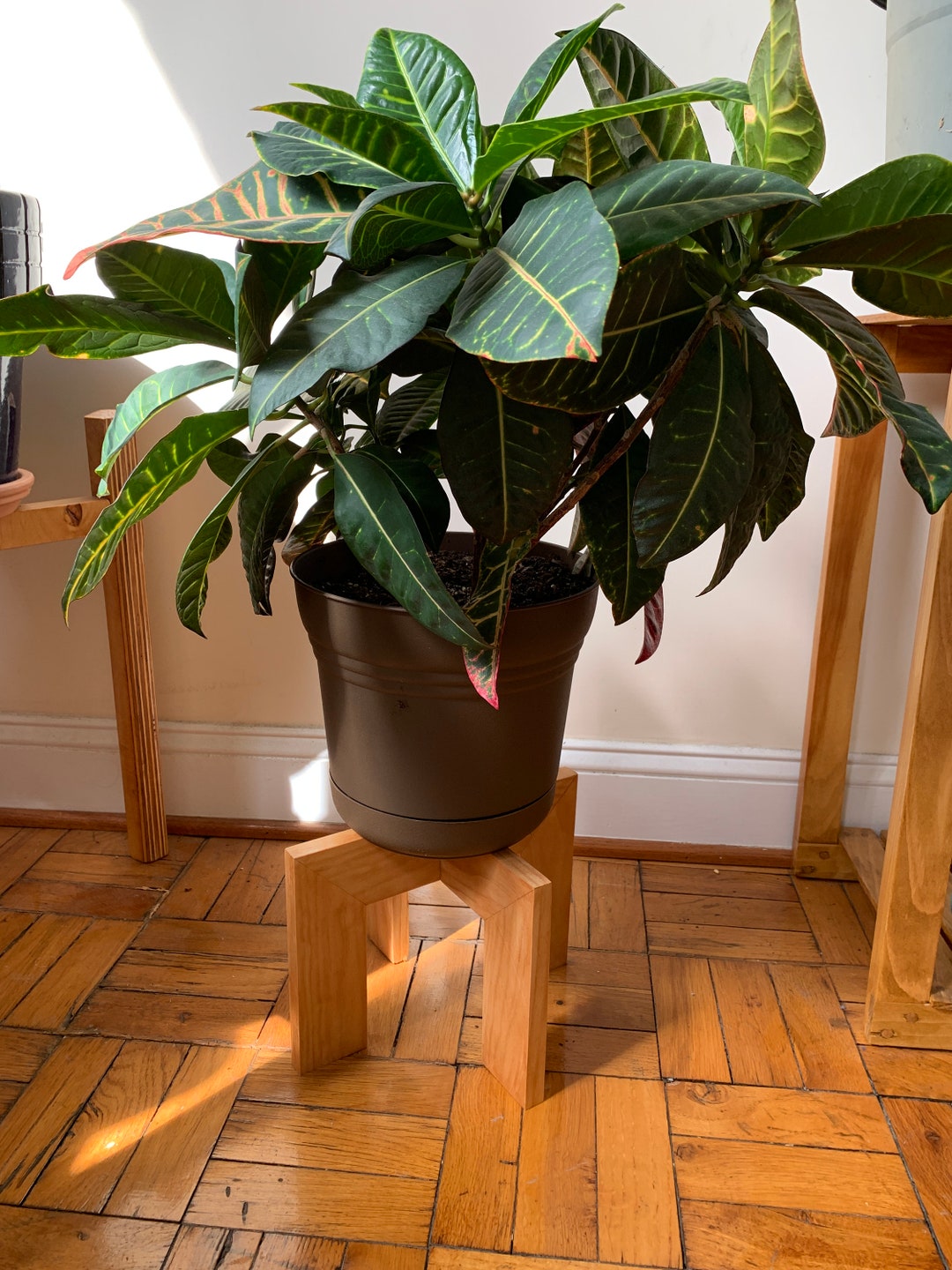 Medium Wooden Plant Stand Collapsible Plant Holder Holds Plants up to ...