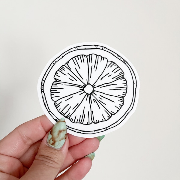 Lemon Lime Wall Decal - Etsy