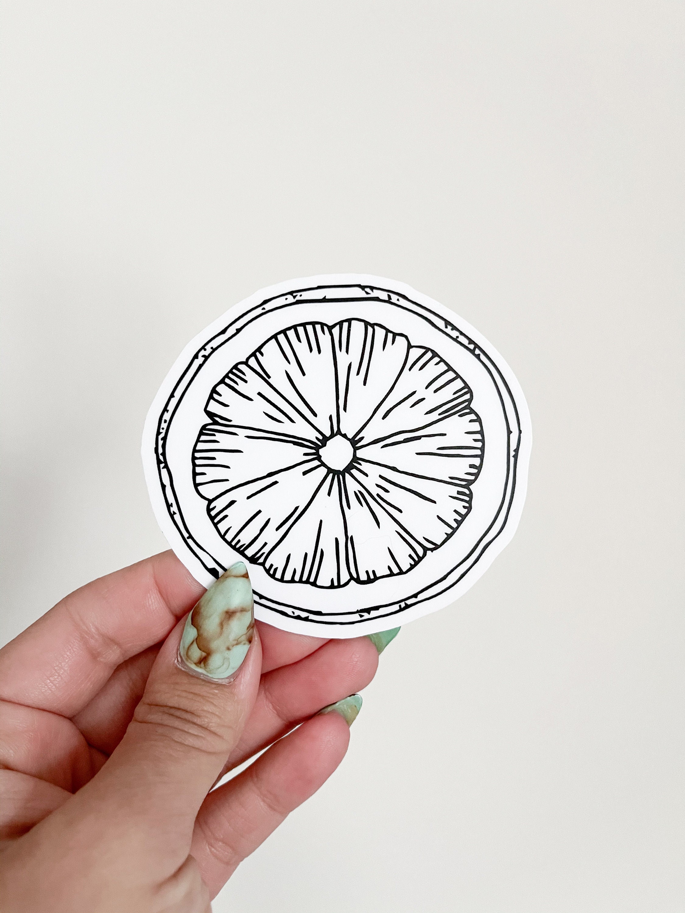 Citrus Orange Lemon Lime Slice Sticker Vinyl Sticker Decal - Etsy