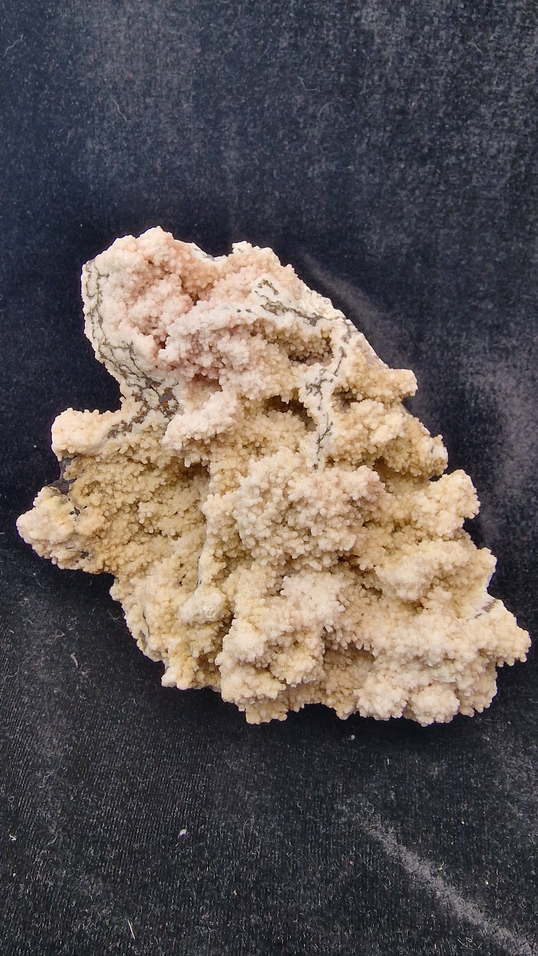 Rare Mangano Calcite Coral Formation, Northern Cape South Africa Fine ...