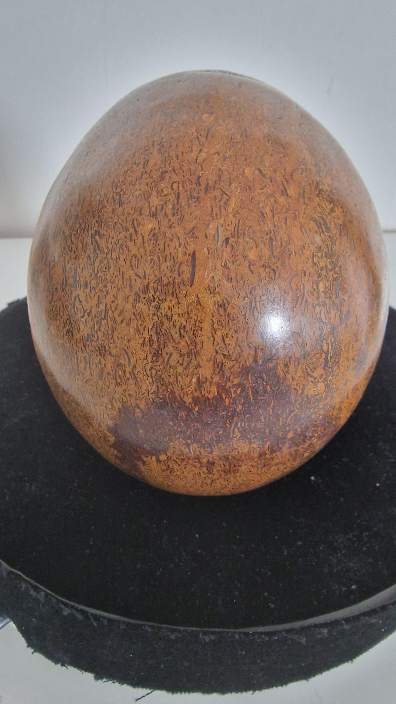 Coquina Jasper, Mariam Jasper Calligraphy Stone LIFESIZED 6.9 ...