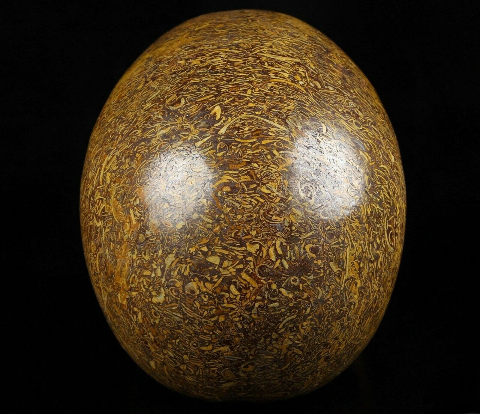 Coquina Jasper Mariam Jasper Calligraphy Stone LIFESIZED - Etsy