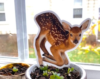Sleeping Fawn Vinyl Sticker Ellie Mcginnis Co. - Etsy