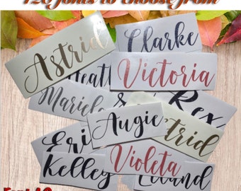 Vinyl Name Sticker - Etsy