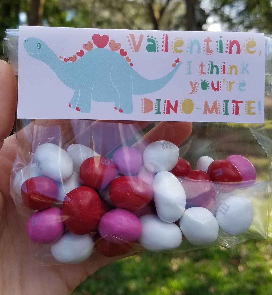 Valentine Printable You're Dino-mite Treat Bag Topper Kids Dinosaur ...