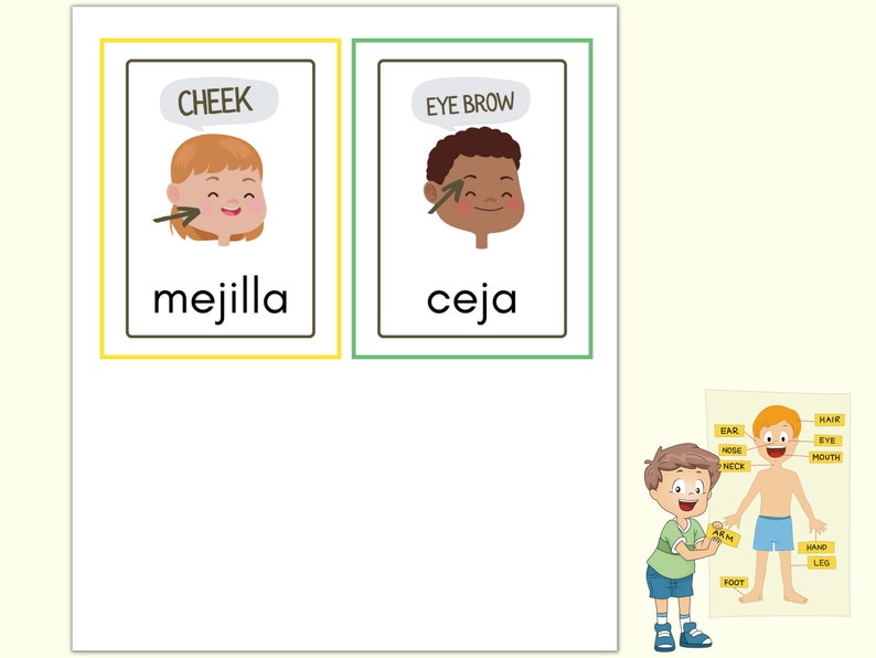 Spanish Body Parts Flashcards Printable 22 Spanish - Etsy