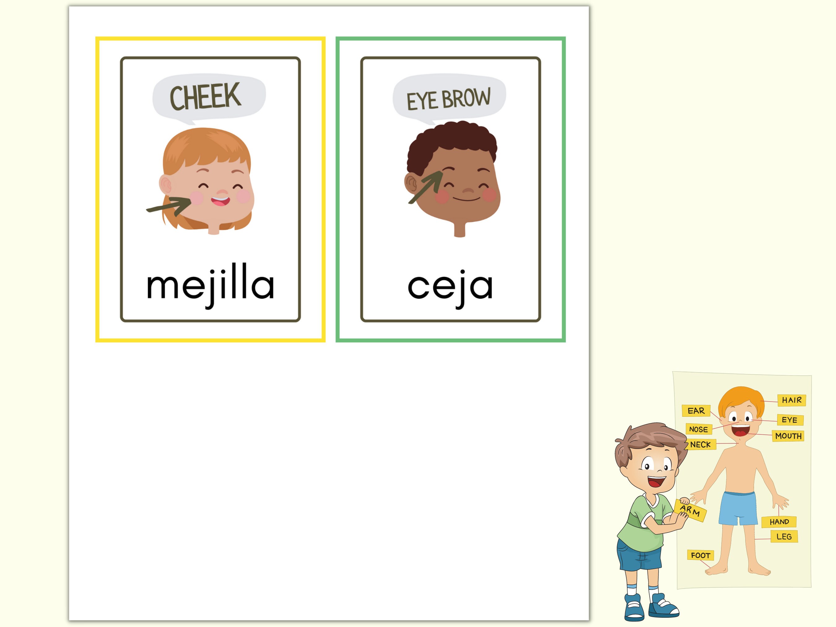 Spanish Body Parts Flashcards Printable 22 Spanish | Etsy UK