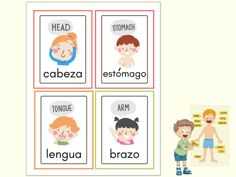 Spanish Body Parts Flashcards Printable 22 Spanish - Etsy