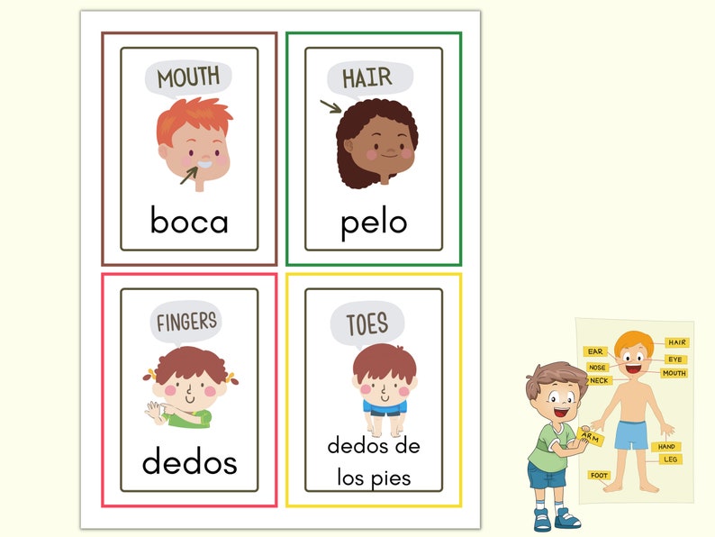 Spanish Body Parts Flashcards Printable 22 Spanish - Etsy