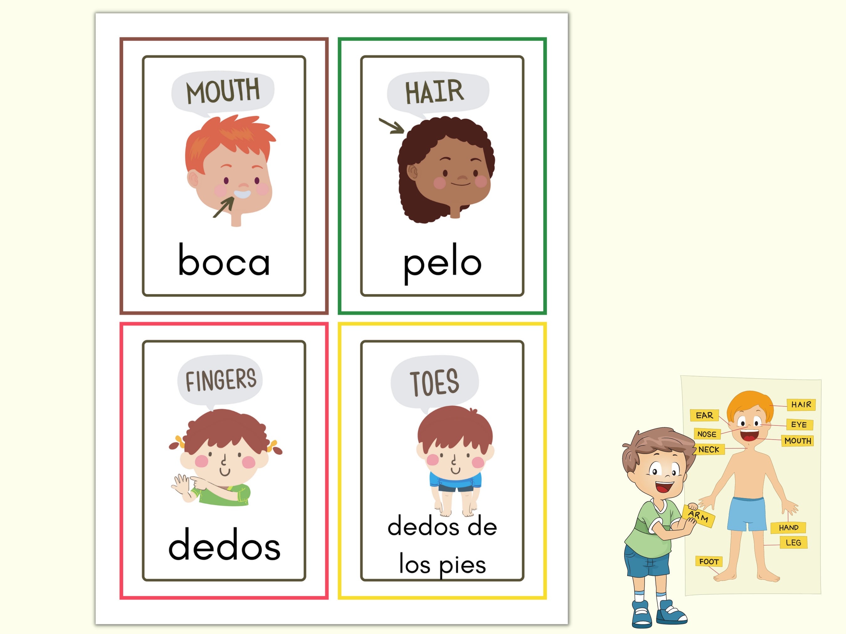Spanish Body Parts Flashcards Printable 22 Spanish - Etsy Australia
