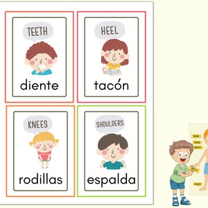 Spanish Body Parts Flashcards Printable, 22 Spanish Flashcards, English ...