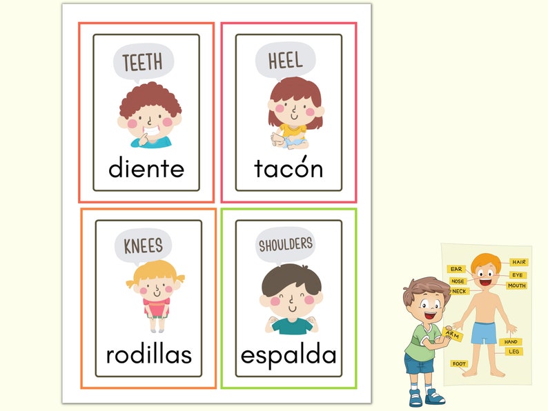 Spanish Body Parts Flashcards Printable, 22 Spanish Flashcards, English ...