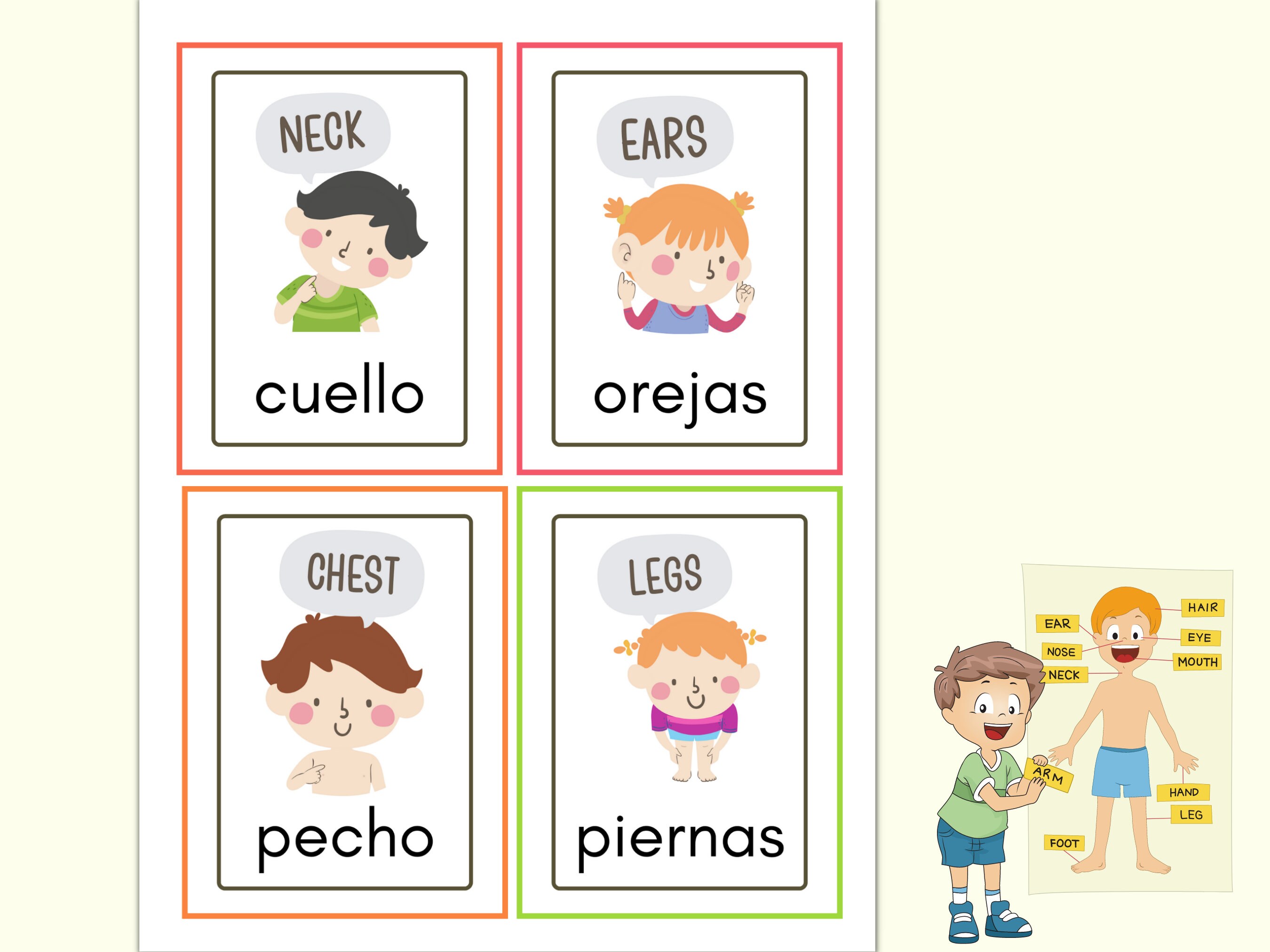 Spanish Body Parts Flashcards Printable 22 Spanish | Etsy UK