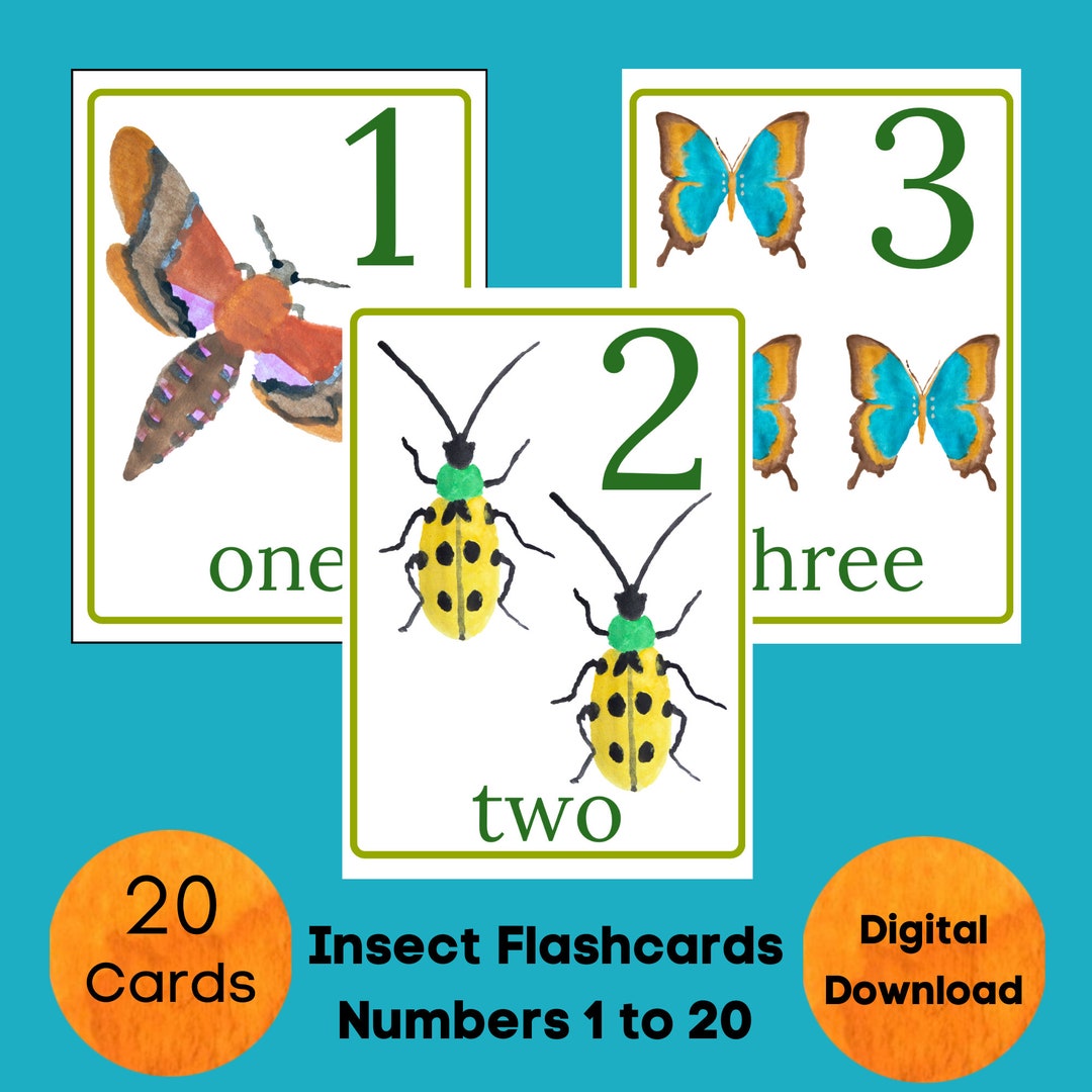 Spring Insect Flash Cards Numbers 1-20, Preschool and Kindergarten 1 to ...