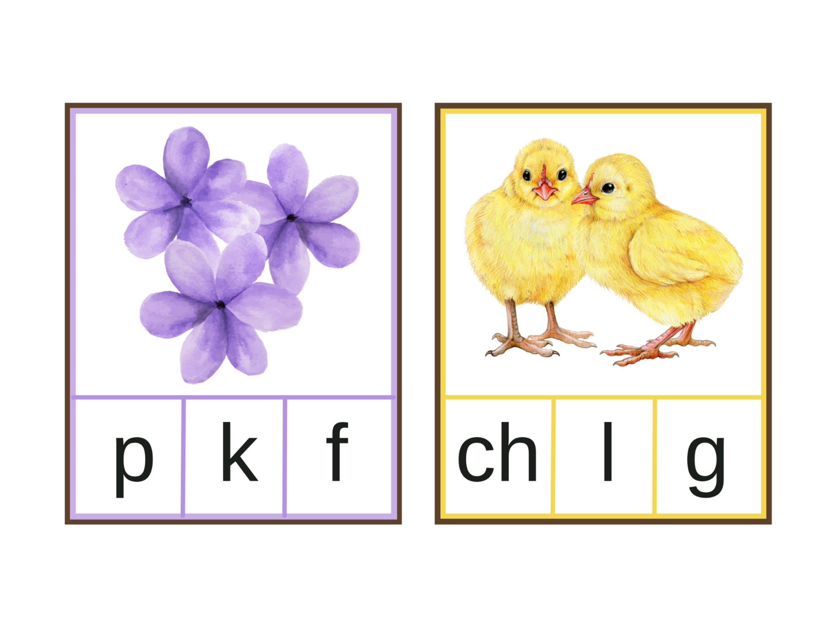 Spring Words Phonemic Awareness Beginning Sound Clip Card Phonics ...