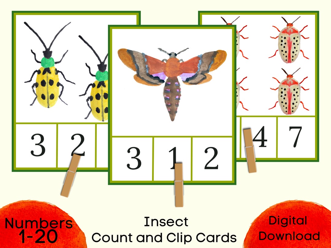 Insects Counting Clip Cards 1-20, Montessori Counting 1-20, Preschool ...