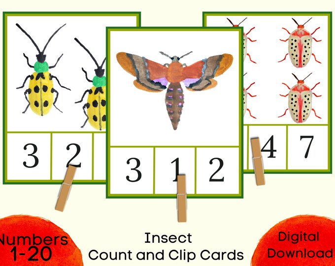 Forest Friends Preschool Learning Pack, Alphabet Activities, Montessori ...