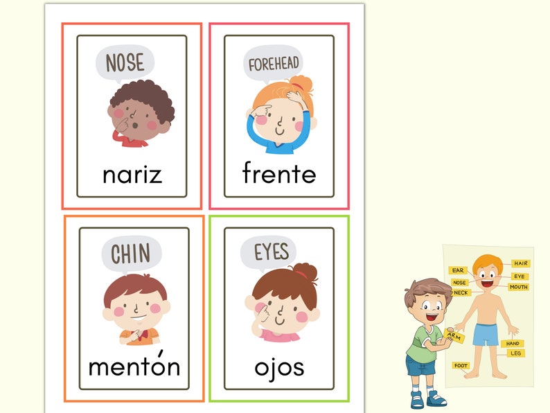 Spanish Body Parts Flashcards Printable 22 Spanish - Etsy Österreich