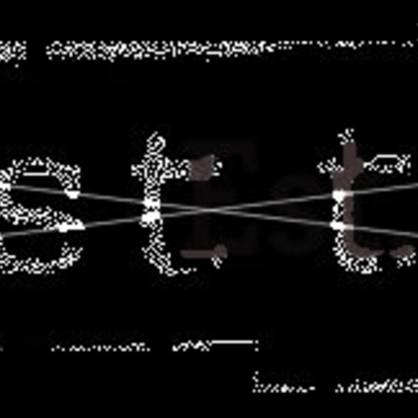 Rage Against the Machine Svg - Etsy