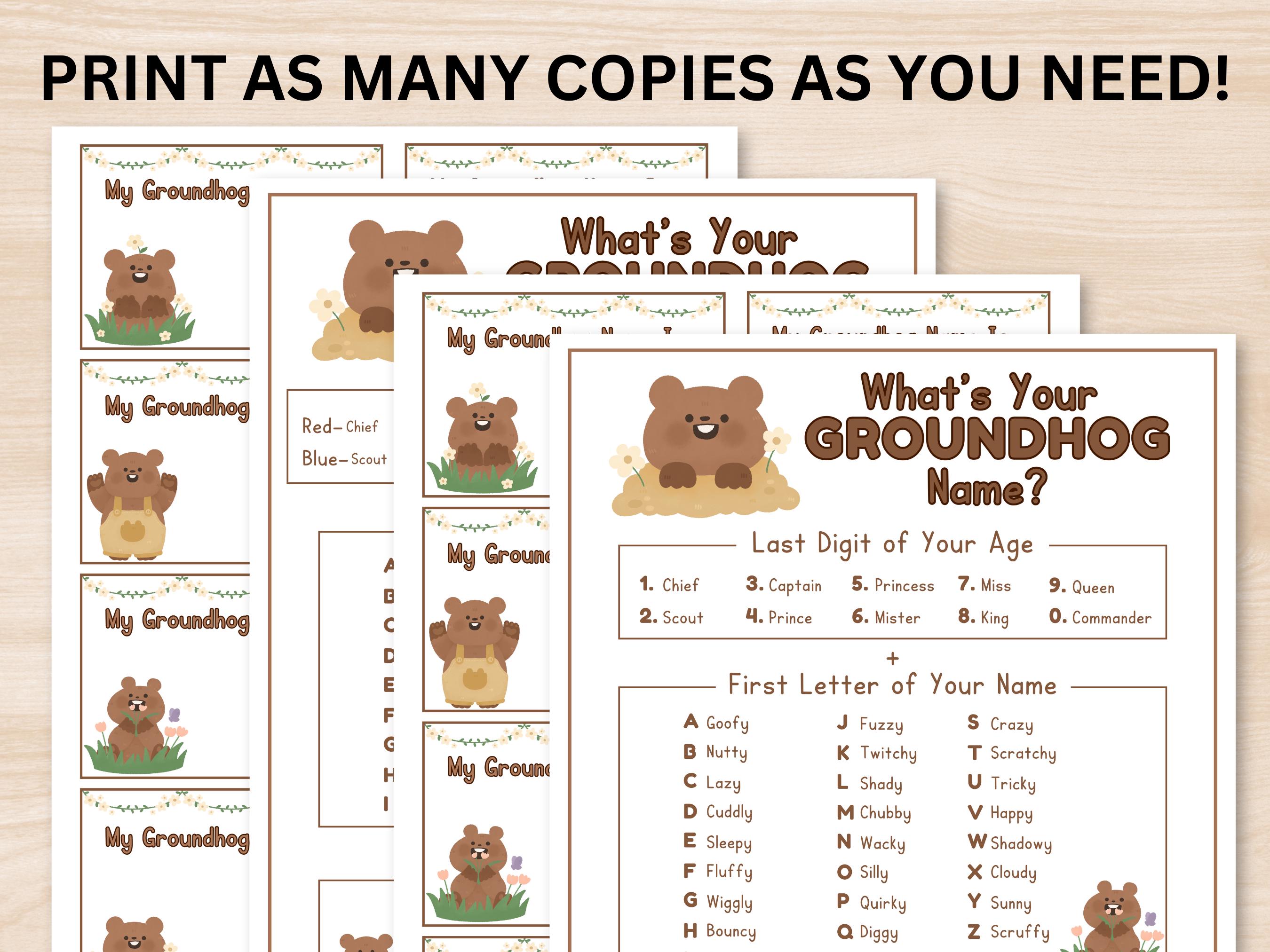 What's Your Groundhog Name Game, Groundhog Day Classroom Activity, Name ...