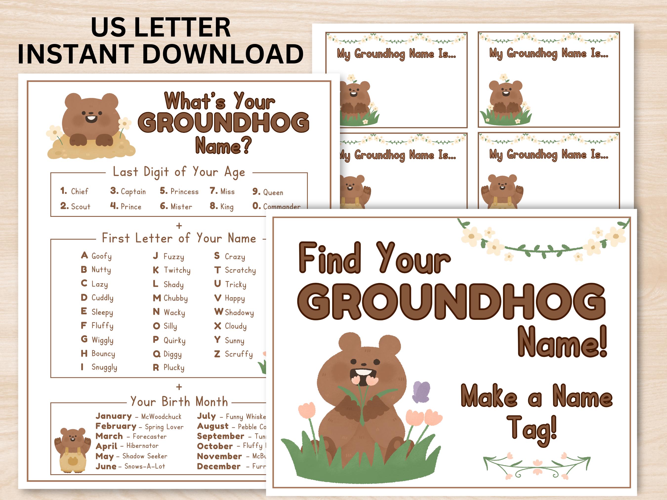 What's Your Groundhog Name Game, Groundhog Day Classroom Activity, Name ...