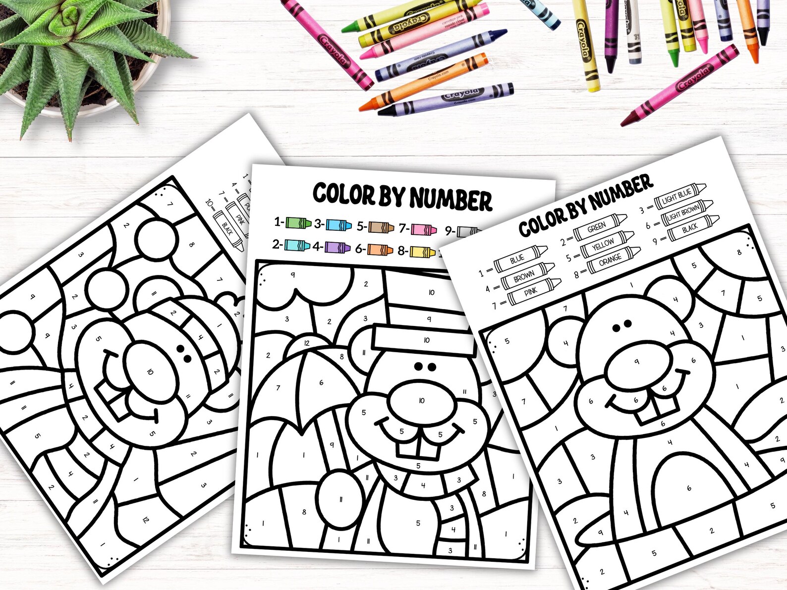Groundhog Color by Number, Groundhog Coloring Pages for Kids, Groundhog ...