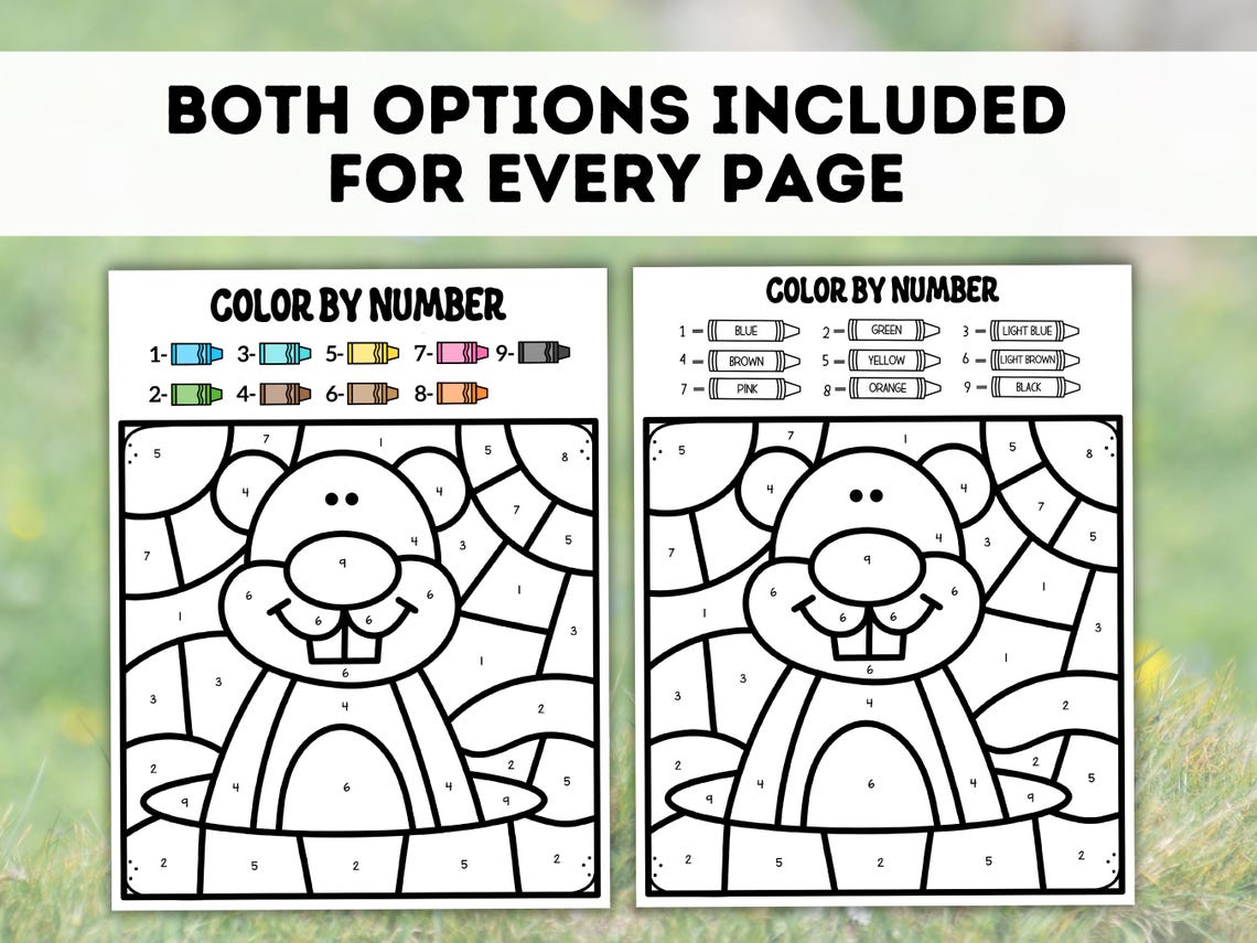 Groundhog Color by Number, Groundhog Coloring Pages for Kids, Groundhog ...