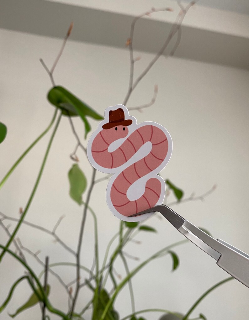 Wild Wild West Worm Sticker Cowboy Wirm Cute Earthworm - Etsy